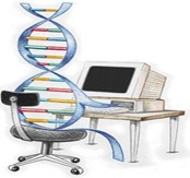 Genetics-Basic Terms | BIOZOOM